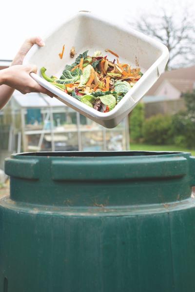 Can you compost that? A cheat sheet on what goes in the bin | | wvnews.com