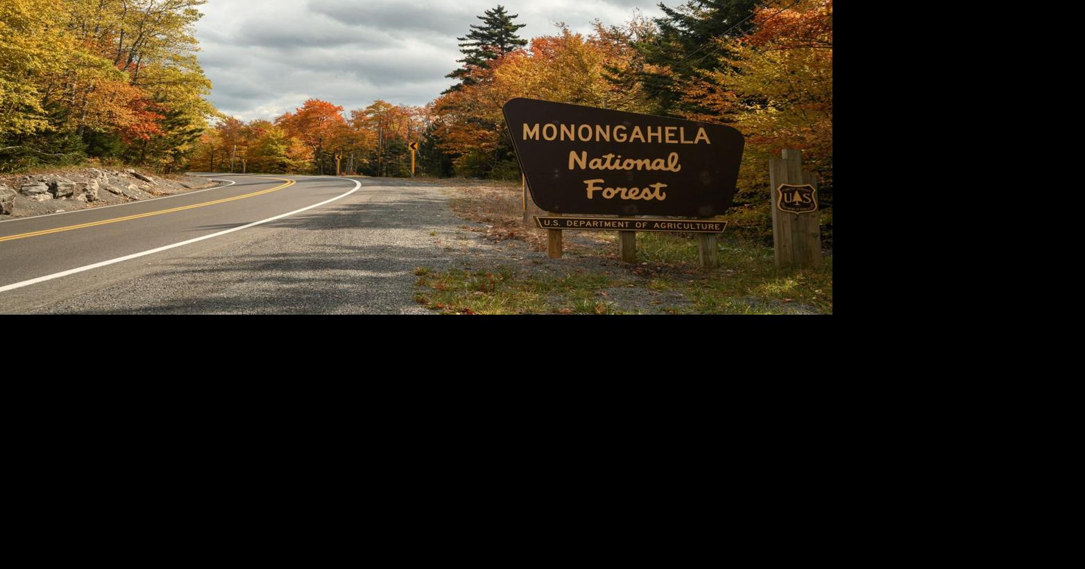 Monongahela National Forest Gears Up for Recreational Season with Sites ...