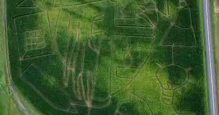 Cove Run Farm Corn Maze to entertain guests in Garrett Co. for 22nd ...