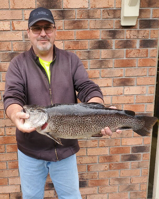 West Virginia angler reels in new state record Tiger Trout in Marion ...