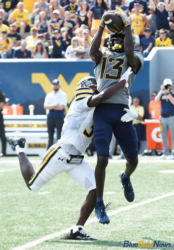 WVU Football Sam James | West Virginia University Sports | wvnews.com