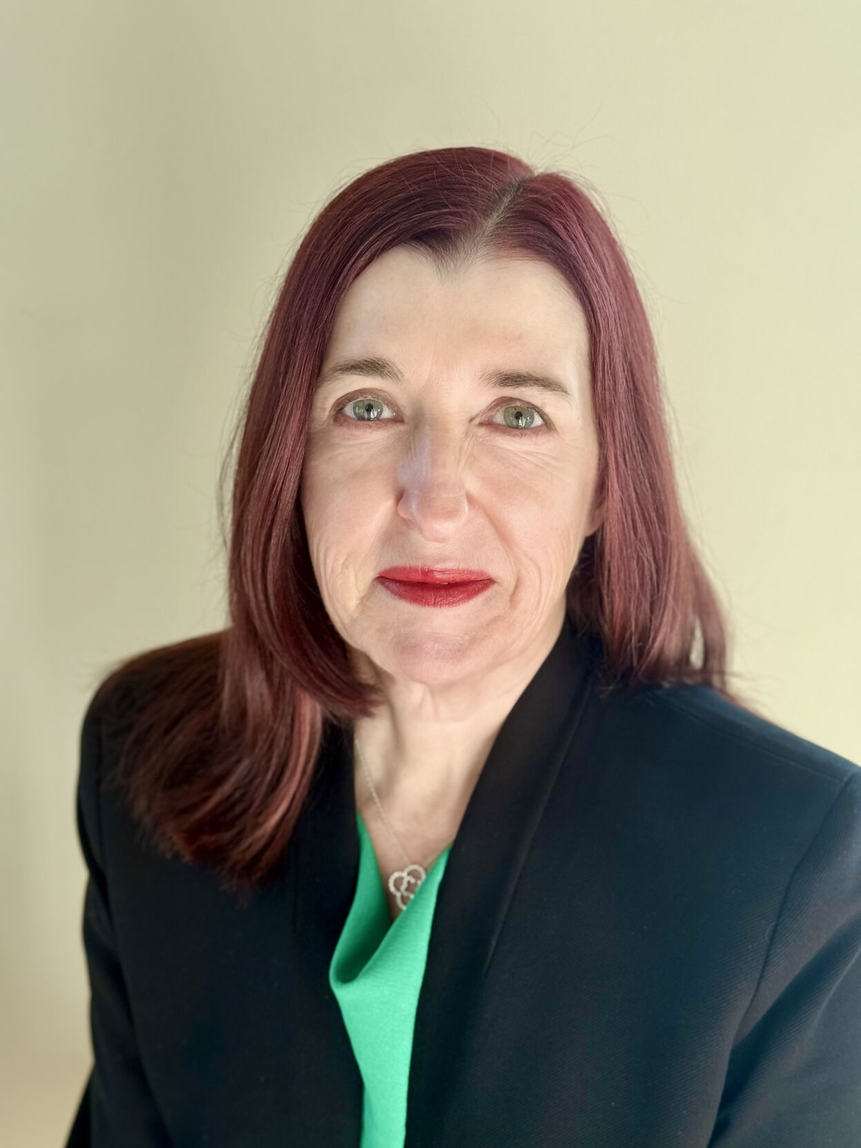 Hanrahan tapped to lead Marshall's Department of Internal Medicine ...