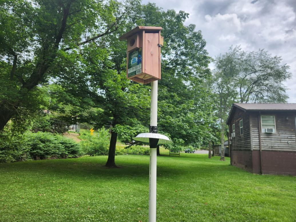 Bluebird house | | wvnews.com