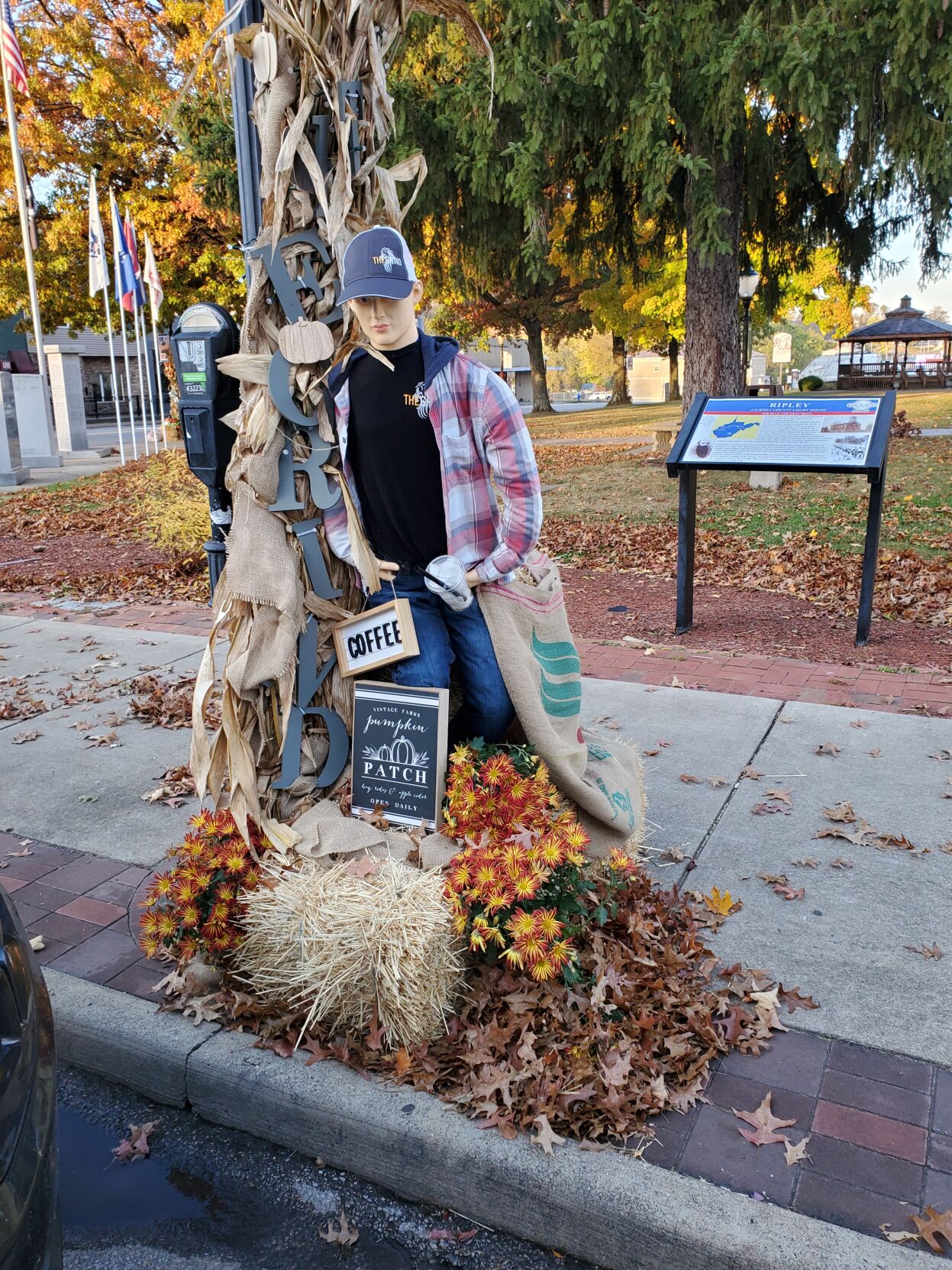 Main Street Ripley’s Fall Pole Decorating Contest | Jackson Star and ...