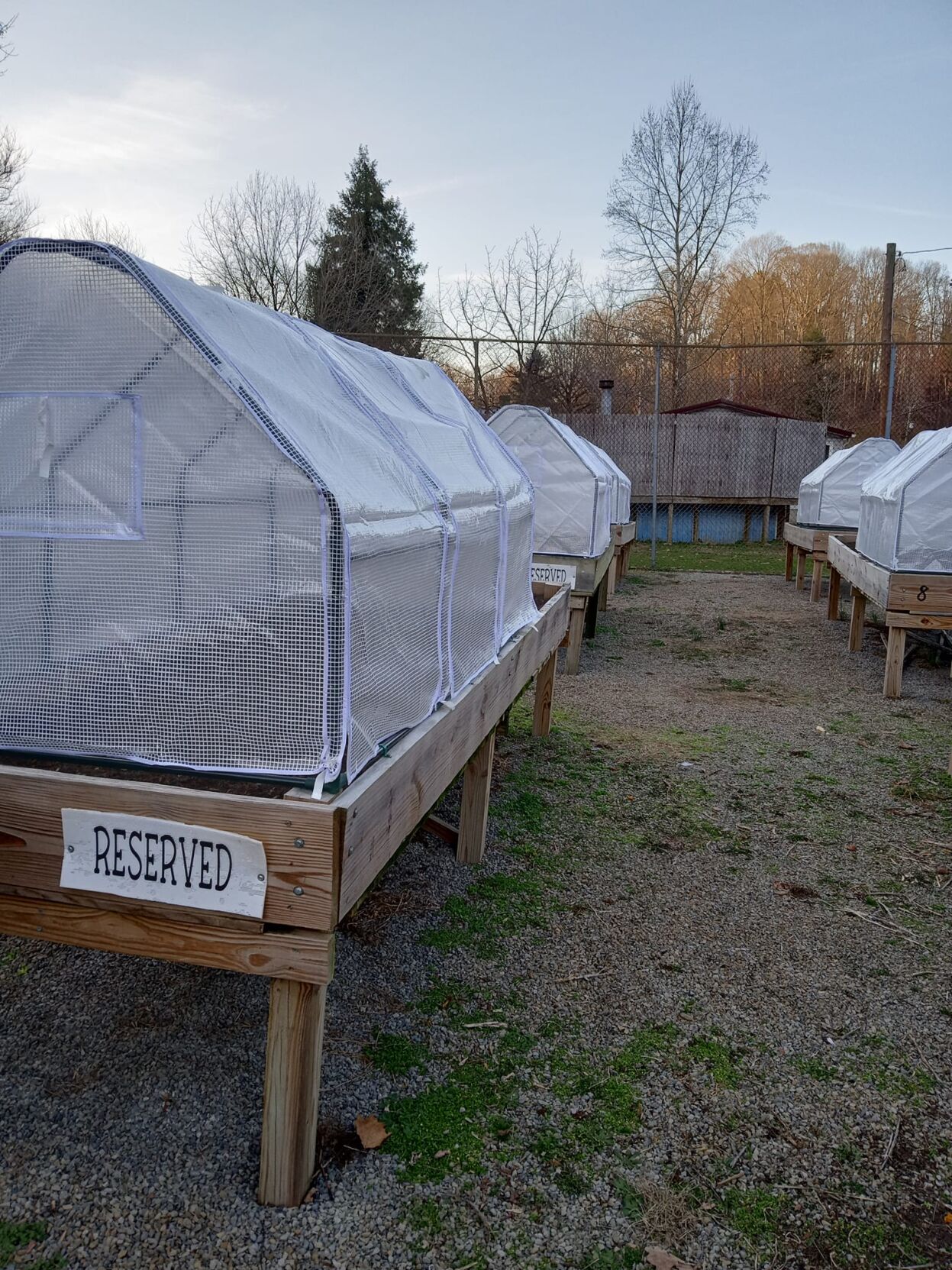 Mulberry Community Gardens | Gallipolis, Pomeroy, Point Pleasant and ...