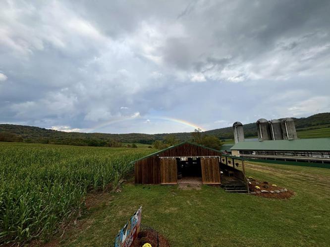 Cove Run Farms Corn Maze to open for 25th season | Garrett News ...