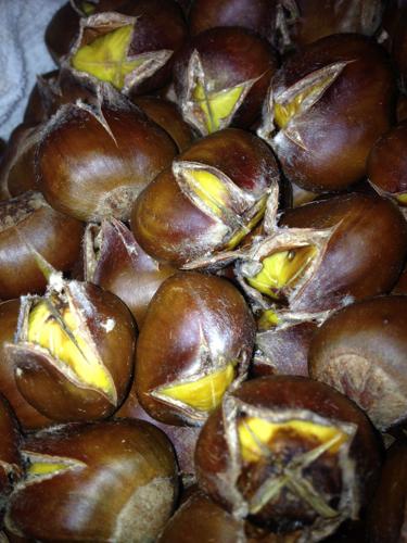 Roasted Chestnuts | Bon Appetit | wvnews.com