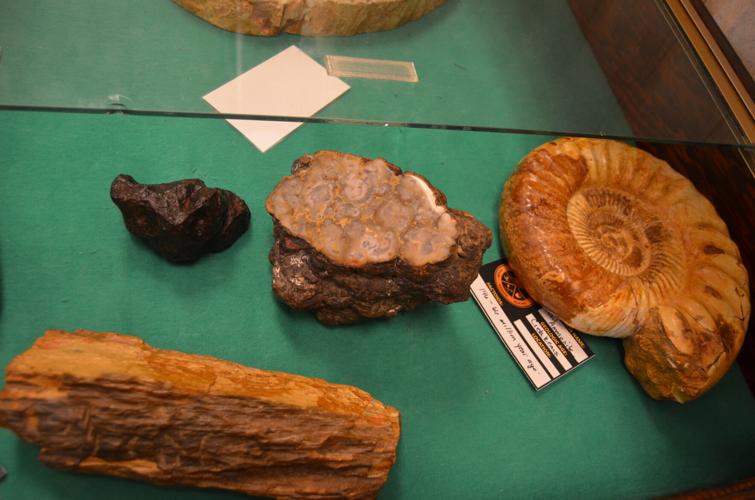 Dinosaur and fossil exhibit opens at Harrison County (West Virginia ...