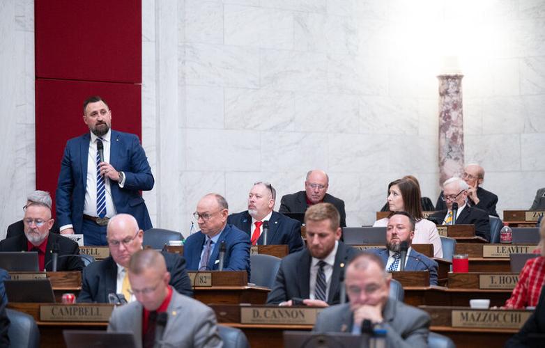 West Virginia Del. Evan Worrell outlines MAHA-inspired health ...