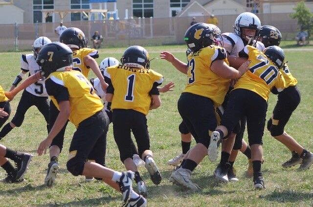 Keyser wins two, Ridgeley one in CAYFL action | Mineral County WV News ...