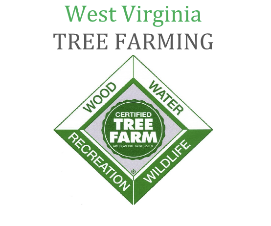 Lewis County landowner becomes newest West Virginia Tree Farm Program ...