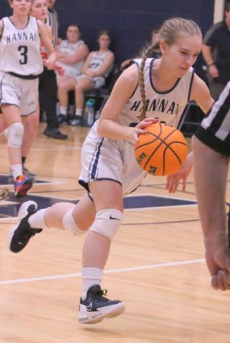 Hannan girls end season in sections | Point Pleasant Sports | wvnews.com