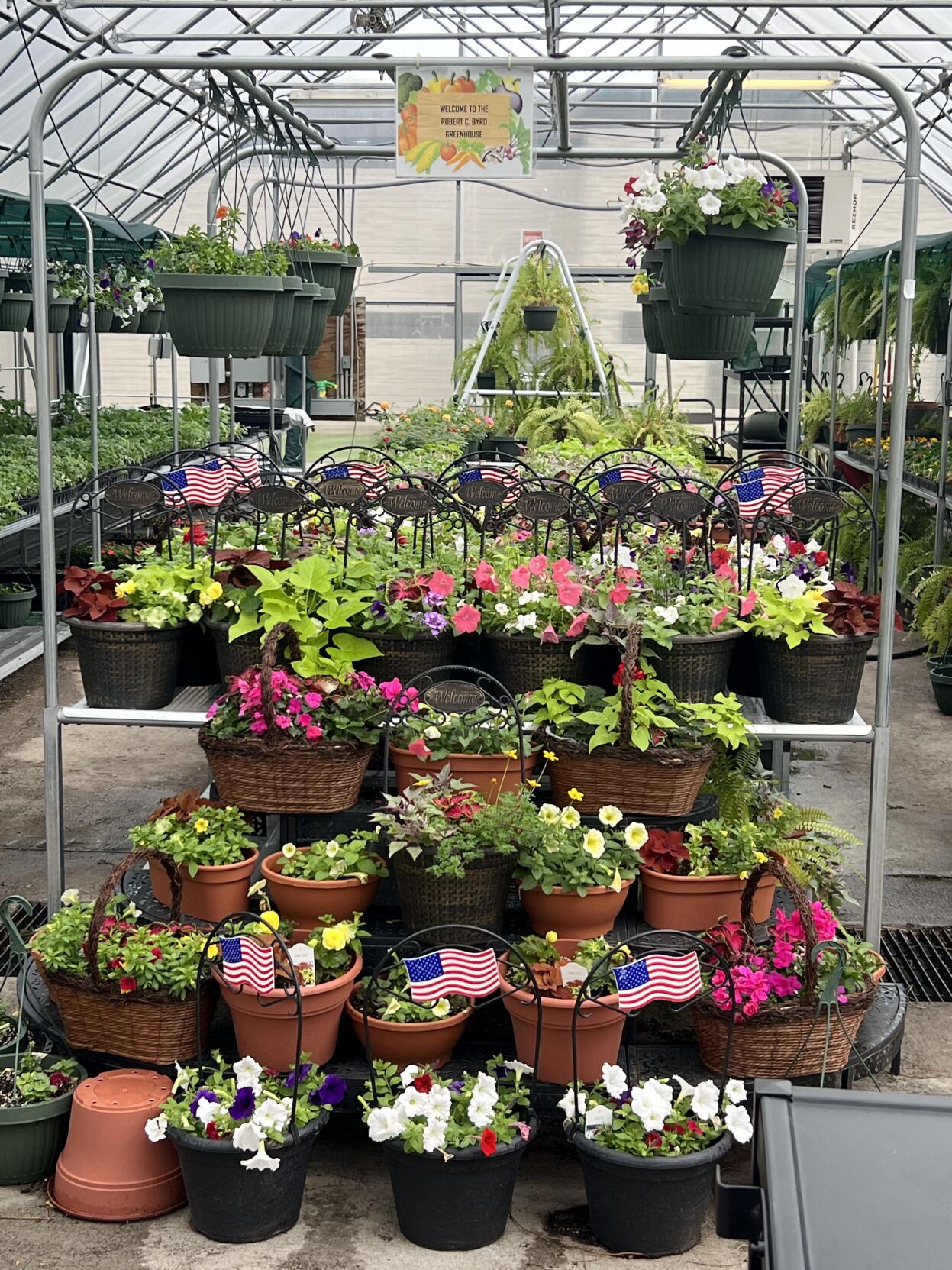 Produce for sale: Harrison County (West Virginia) FFA students open ...