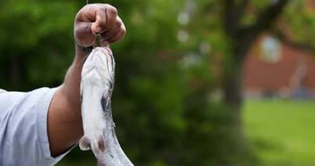 33rd Annual Fishing Rodeo to be held June 13 at Krodel Park | | wvnews.com