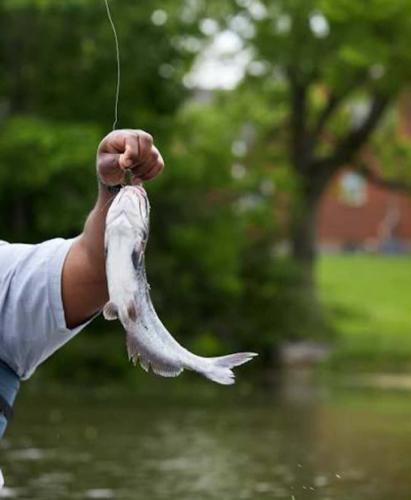 33rd Annual Fishing Rodeo to be held June 13 at Krodel Park | | wvnews.com