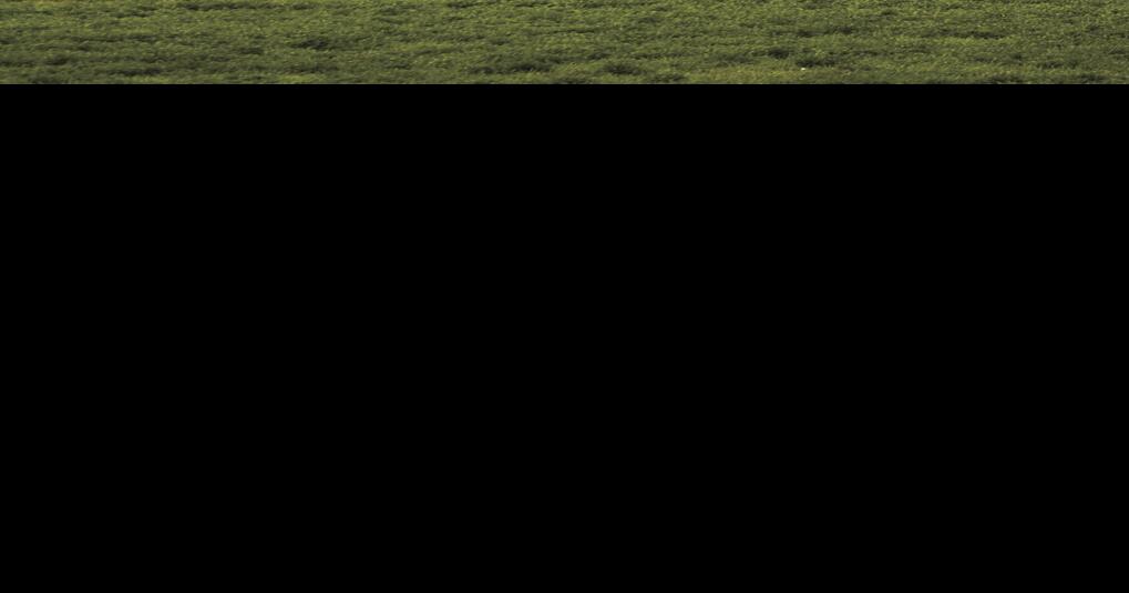 Taylor County, West Virginia, Assessor's Office setting up satellite ...