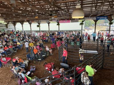 Meigs County (Ohio) Fair Junior Livestock Auction draws large crowd ...