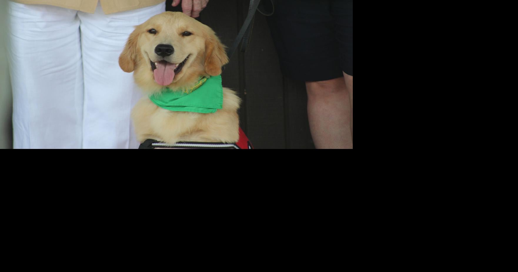 Chloe brings 'PAWS'itivity to Doddridge County (West Virginia) High ...