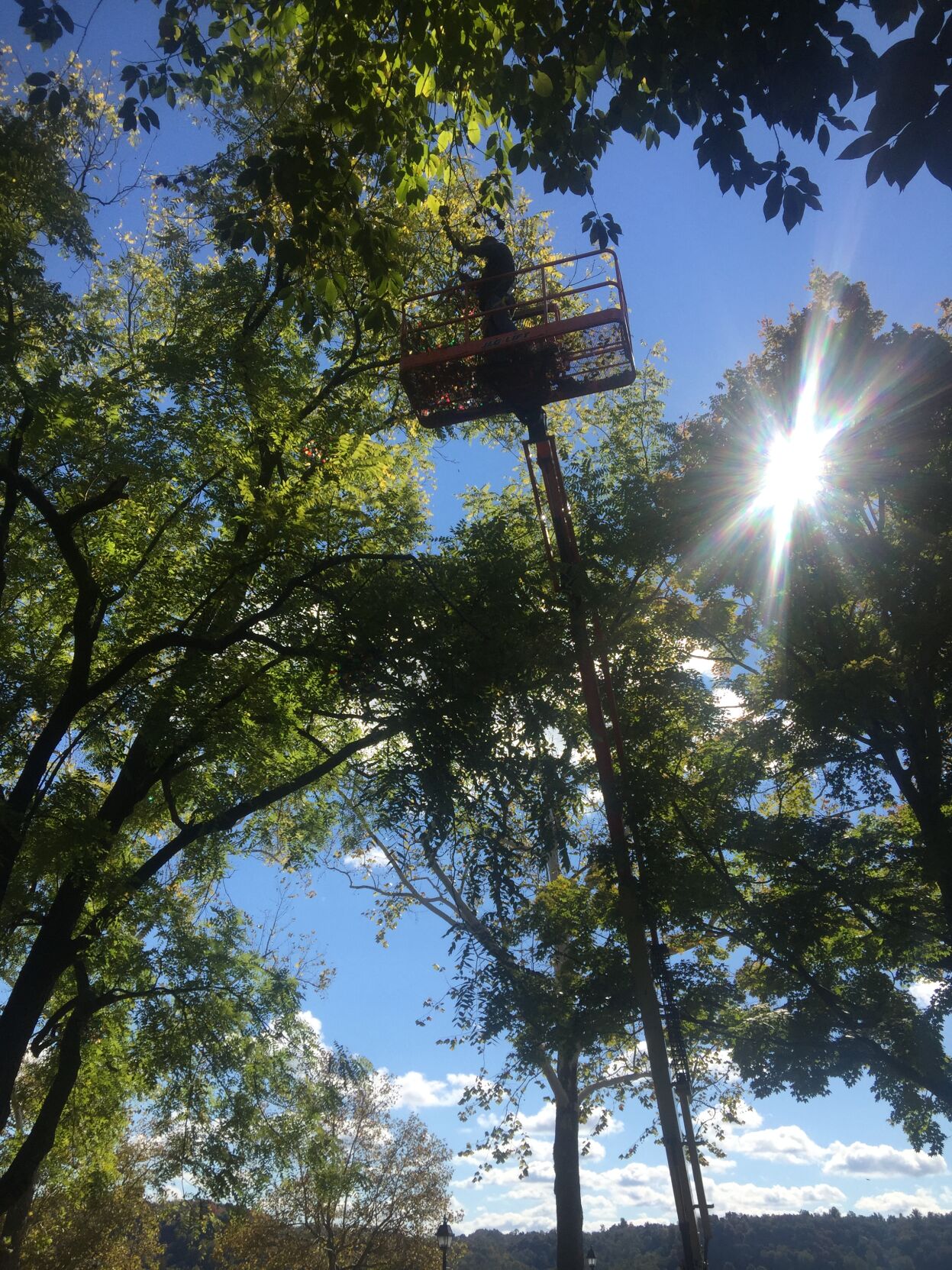 Gallipolis in Lights begins preperations | Gallipolis, Pomeroy, Point ...