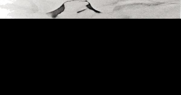 Jonah Edward Kelley | | wvnews.com