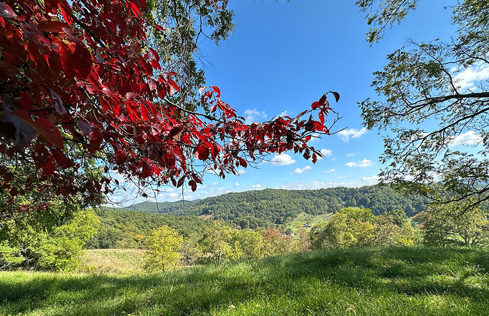 West Virginia releases first fall foliage report of season | WV News ...