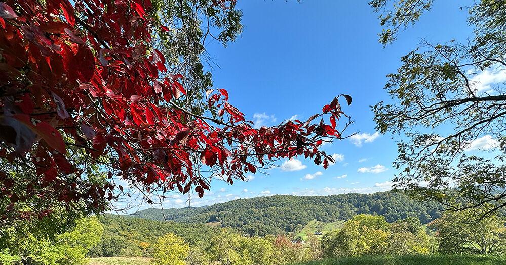 West Virginia releases first fall foliage report of season | WV News ...