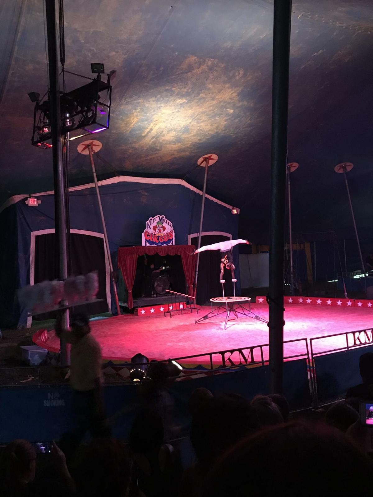 Kelly Miller Circus hosted at TALA | Lifestyles | wvnews.com