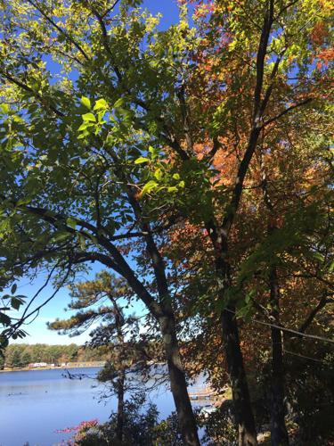 Big Bear Lake is affordable summer getaway close to home | NCWV Life ...