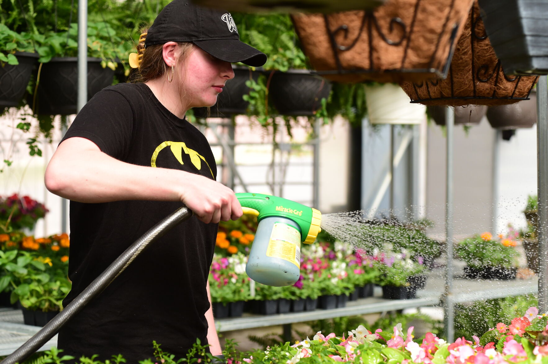 Award-winning South Harrison High FFA program opens greenhouse sales ...