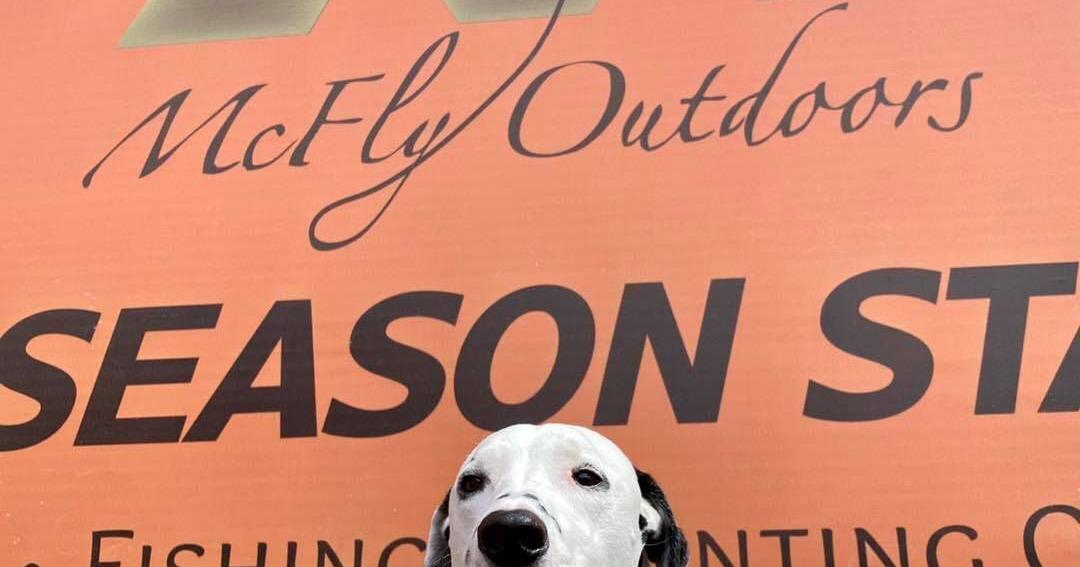 Tenth Annual Gun Bash scheduled for October 8 | Weston News | wvnews.com