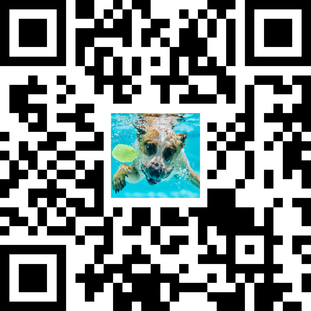 Clarksburg to host dog-friendly pool party | WV News | wvnews.com