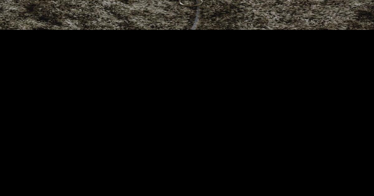 Helen E. Jones, West Virginia Governor's Service Award winner, longtime ...