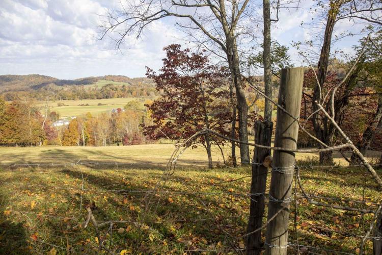 Forecast warns of muted fall colors for West Virginia and Appalachians ...