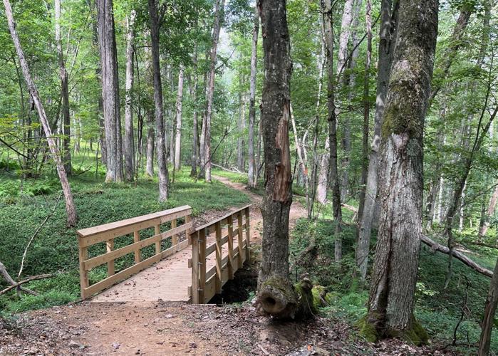 Nearly 40 recreational trails available throughout Garrett County ...