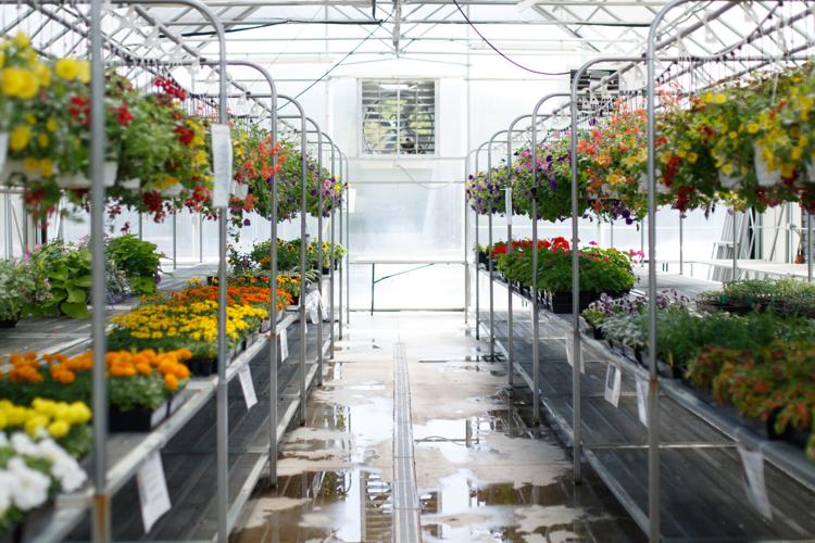 Produce for sale: Harrison County (West Virginia) FFA students open ...