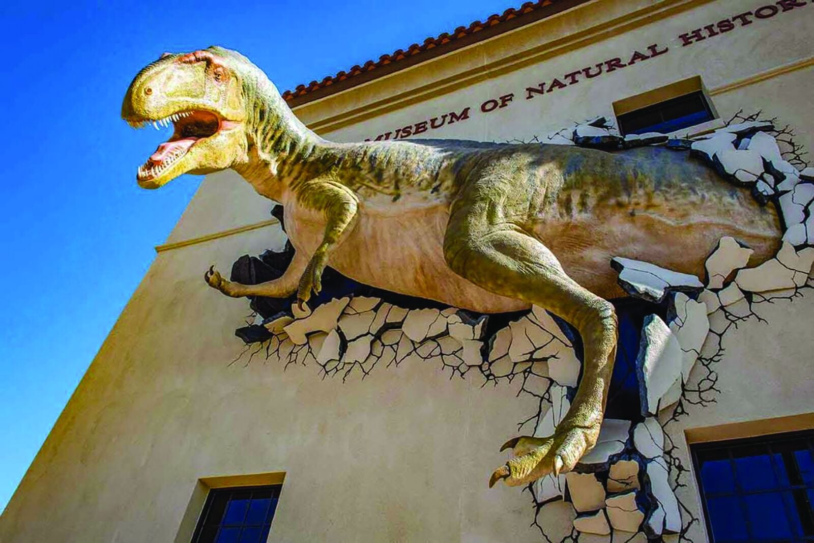 Mesa’s arts assets are good for its wallet, official says | EVTNow ...