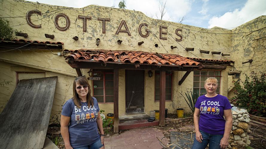 Volunteers re-home Buckhorn Bath cat colony | News | themesatribune.com