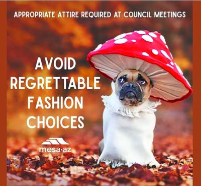 Dress code implemented for Mesa Council meetings | News ...