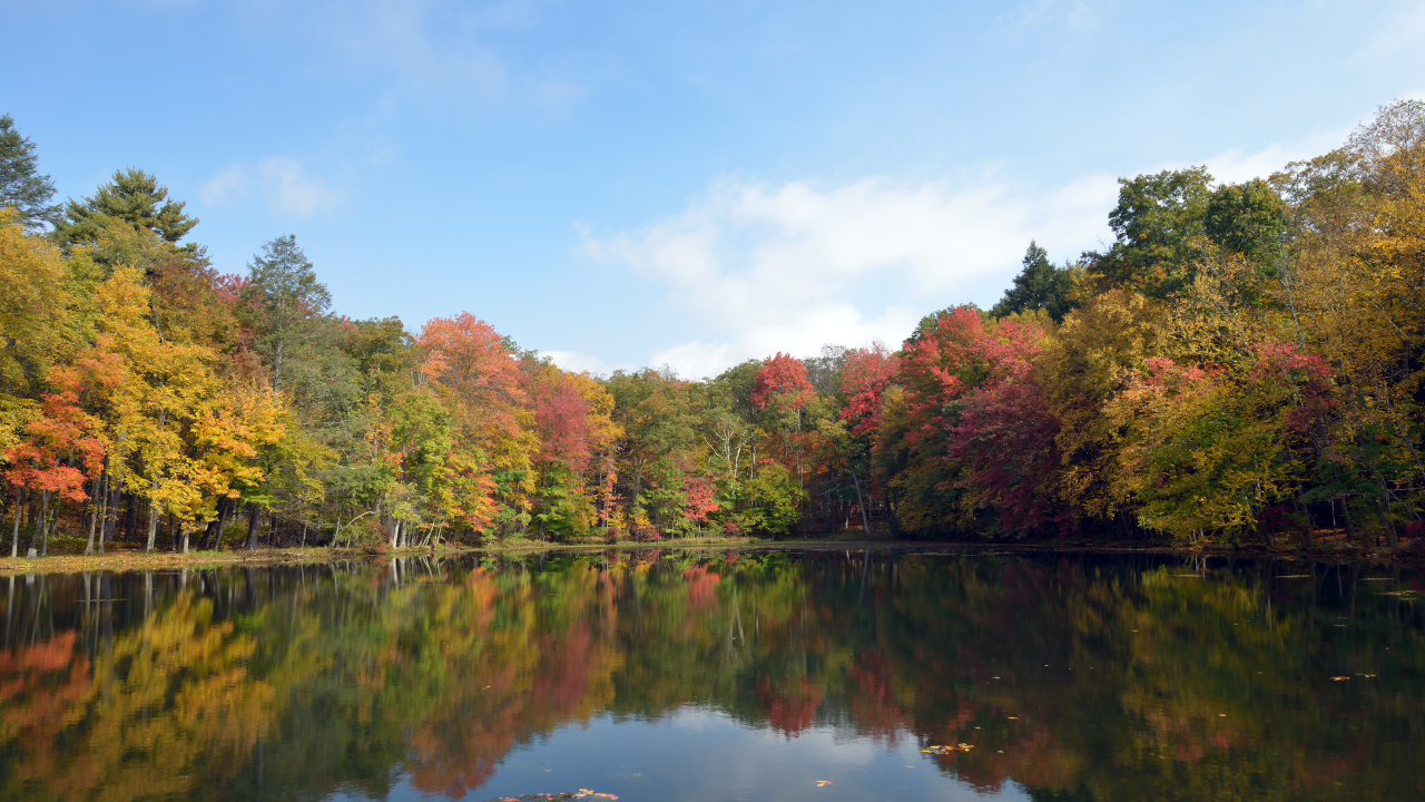 Skeletal remains found in Chemung River identified as missing Elmira resident | Local & State ...