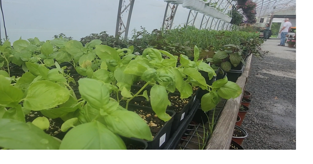 Spring into Gardening: Tips and trends from Southern Tier's own Glen ...