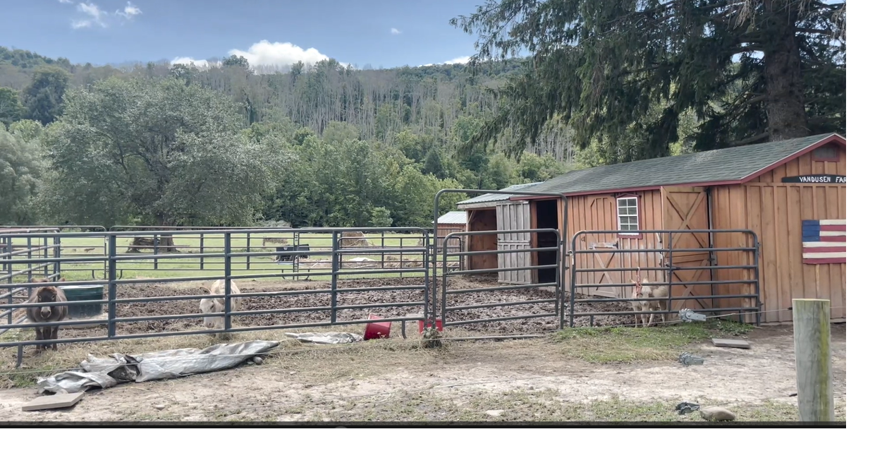 Northeast farmers face devastation from Hurricane Debby | Homepage ...