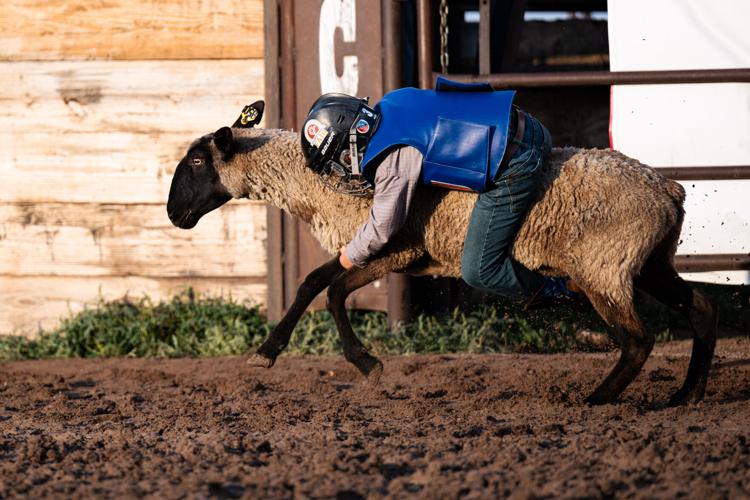 Born to bust: Kids get first rodeo experience through Laramie County ...