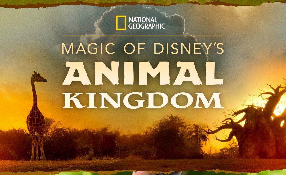 New National Geographic show on Disney Plus explores Animal Kingdom and ...