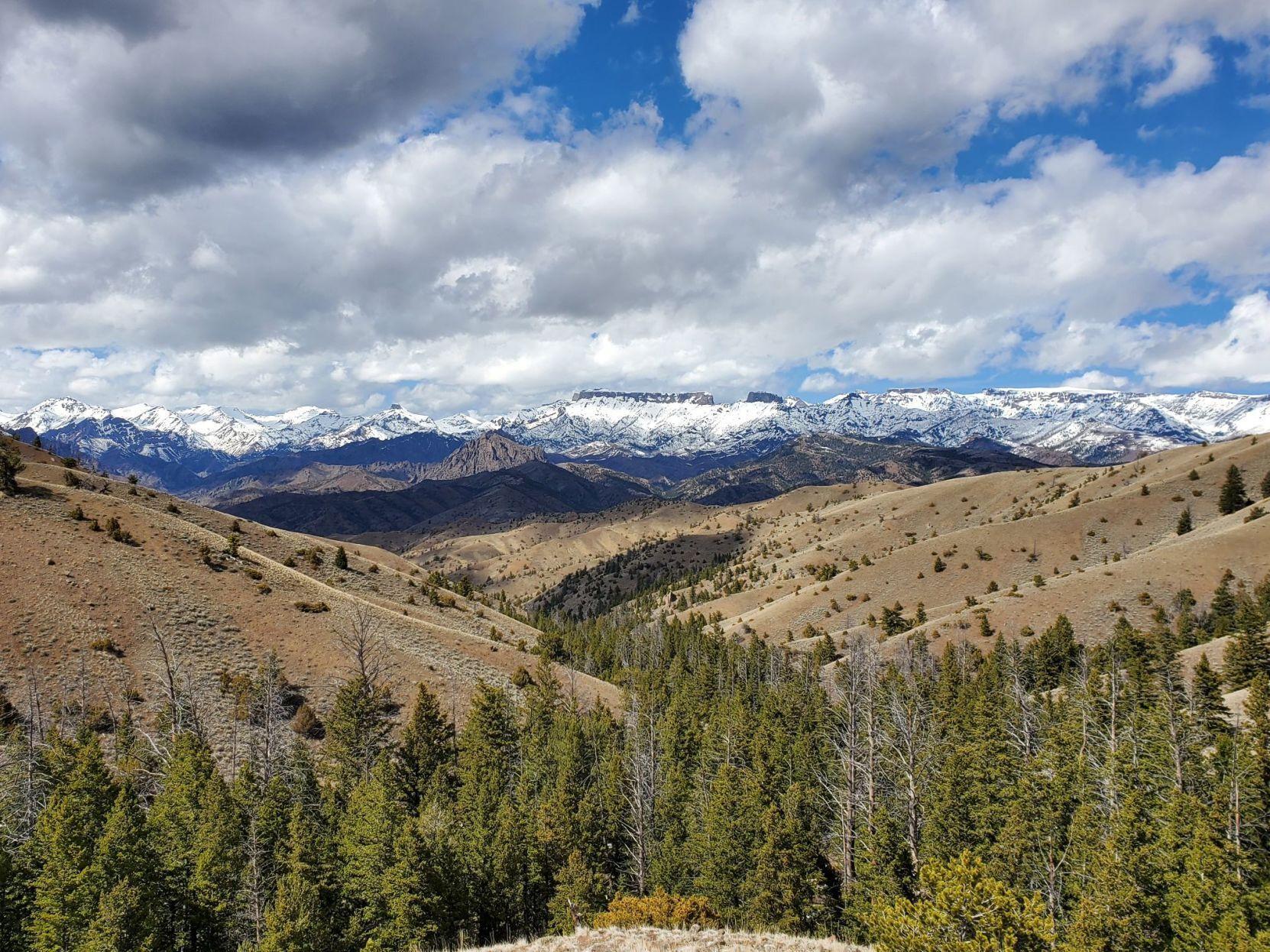 Shoshone Forest seeks input on travel plan | State | wyomingnews.com