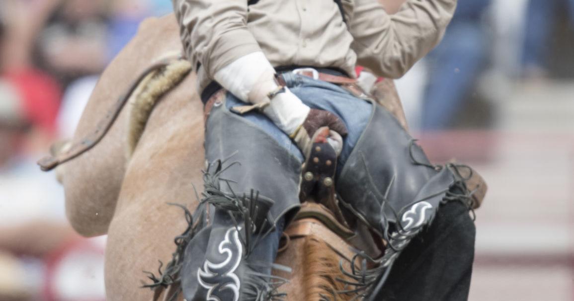 Chad Rutherford uses rodeo to get education | Rodeo | wyomingnews.com
