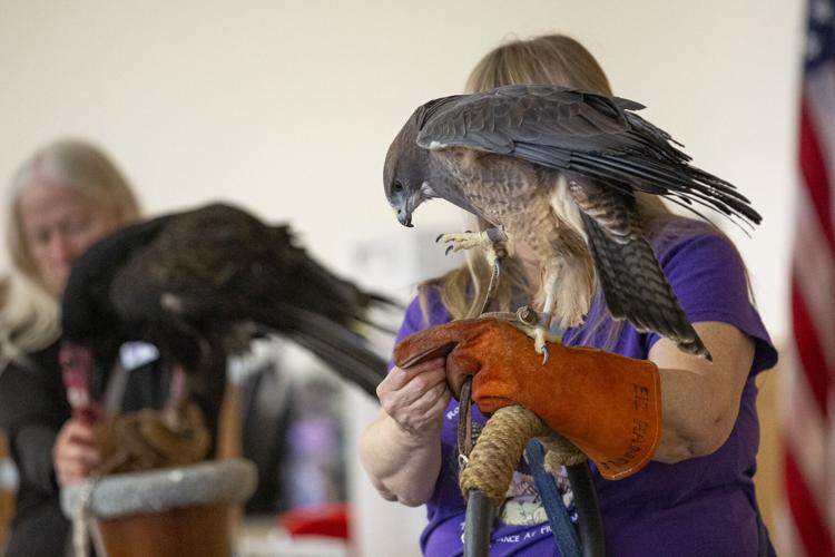 Raptor Tools with Rocky Mountain Raptor Program | Gallery | wyomingnews.com
