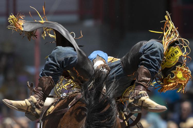 CFD Rodeo Saturday | Gallery | wyomingnews.com