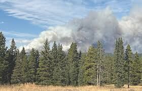 Elk Fire continues to grow in Bighorns | Local News | wyomingnews.com