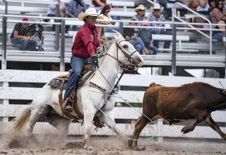 Josh Frost rolls into CFD bull riding final | Cfd | wyomingnews.com