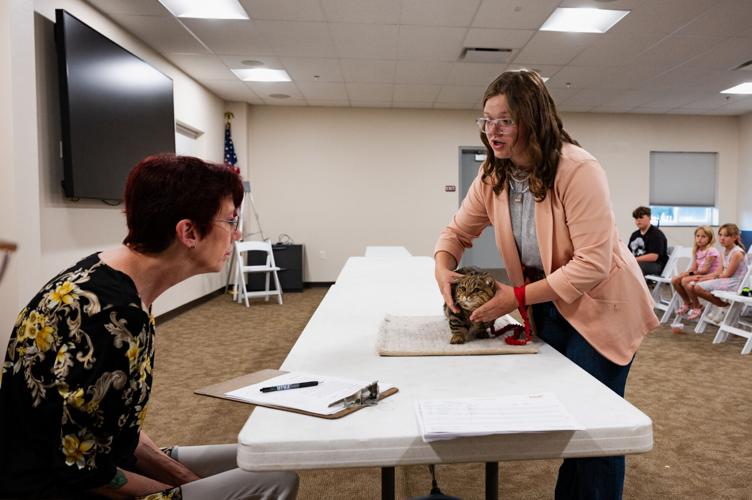 4-H members share facts and fondness for felines during Laramie County ...